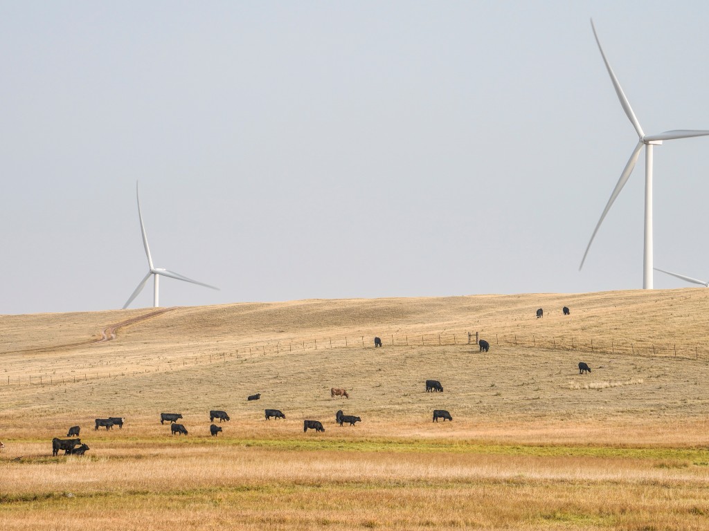 100 Days In: How Renewable Energy Developers Are Adapting to a New ...