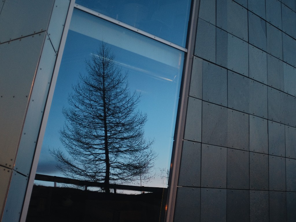 ERM and Truescape partnership provides clients with dynamic ...