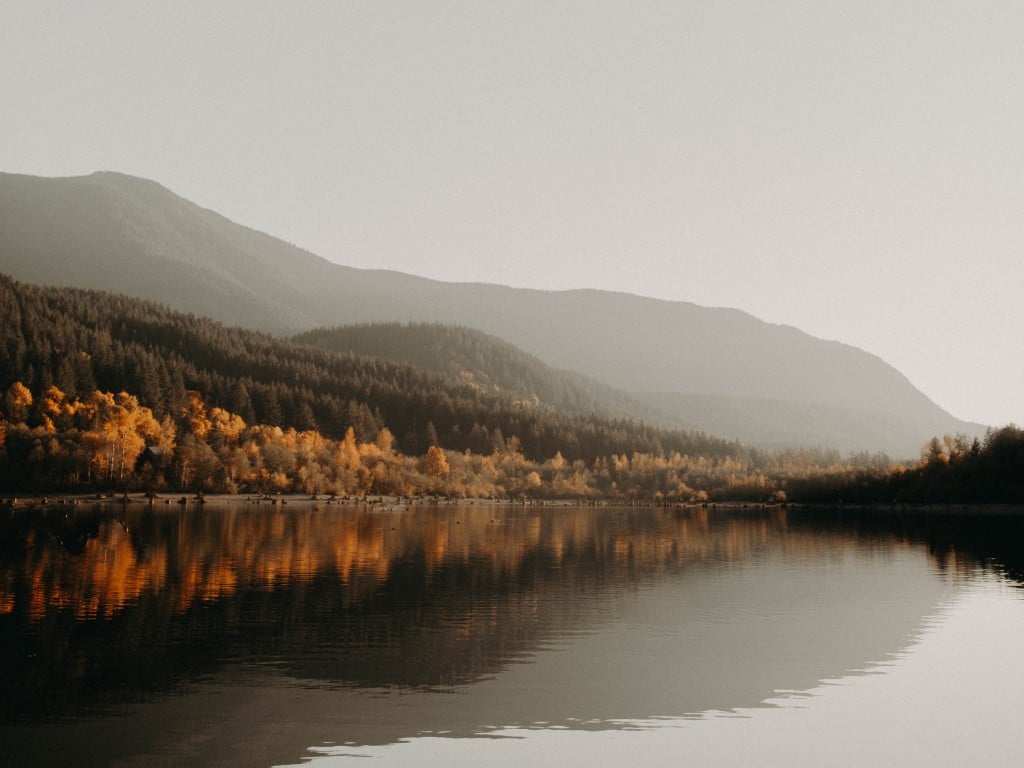 ERM CVS achieves top scores for ESG and Sustainability Assurance Services capabilities in report ...