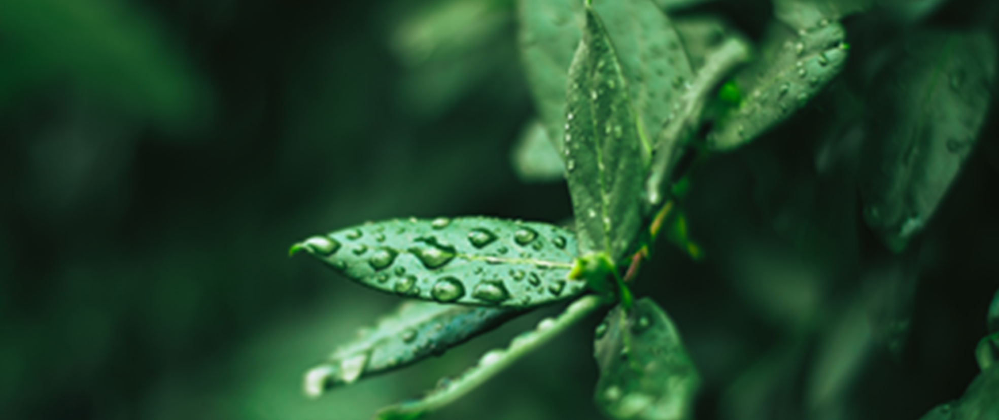 ISO 14001:2026 is here: What you need to know, key changes, how to ...