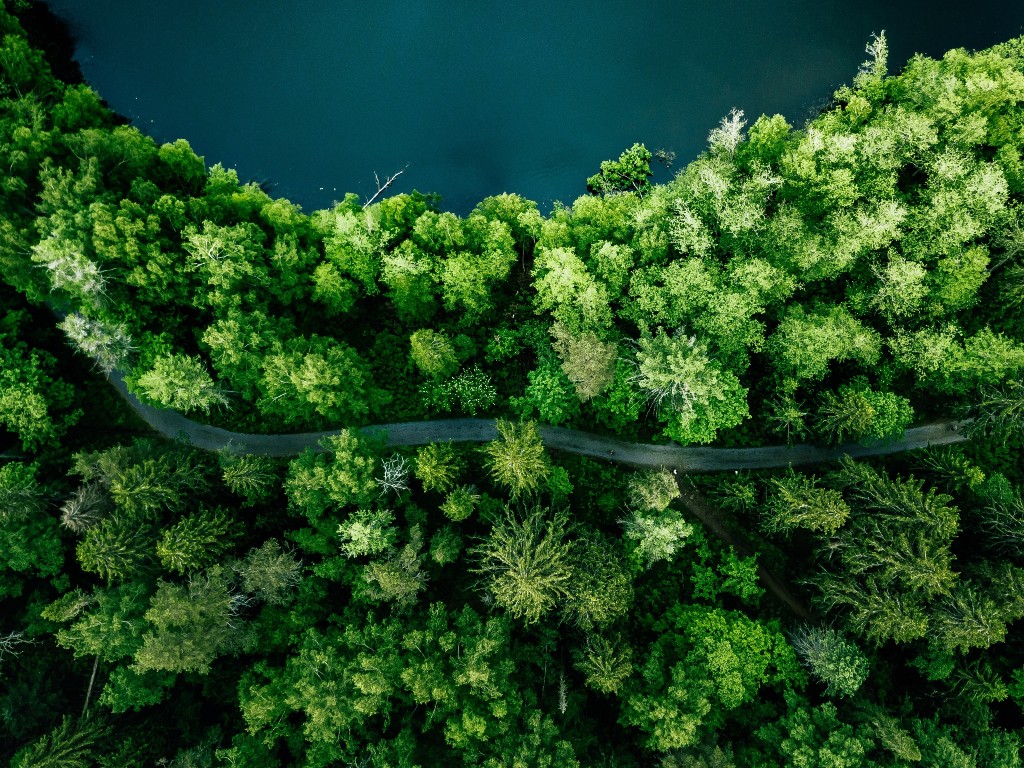 An intermediate step – five takeaways from COP29