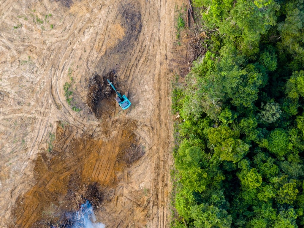 EU Deforestation Regulation policy alert