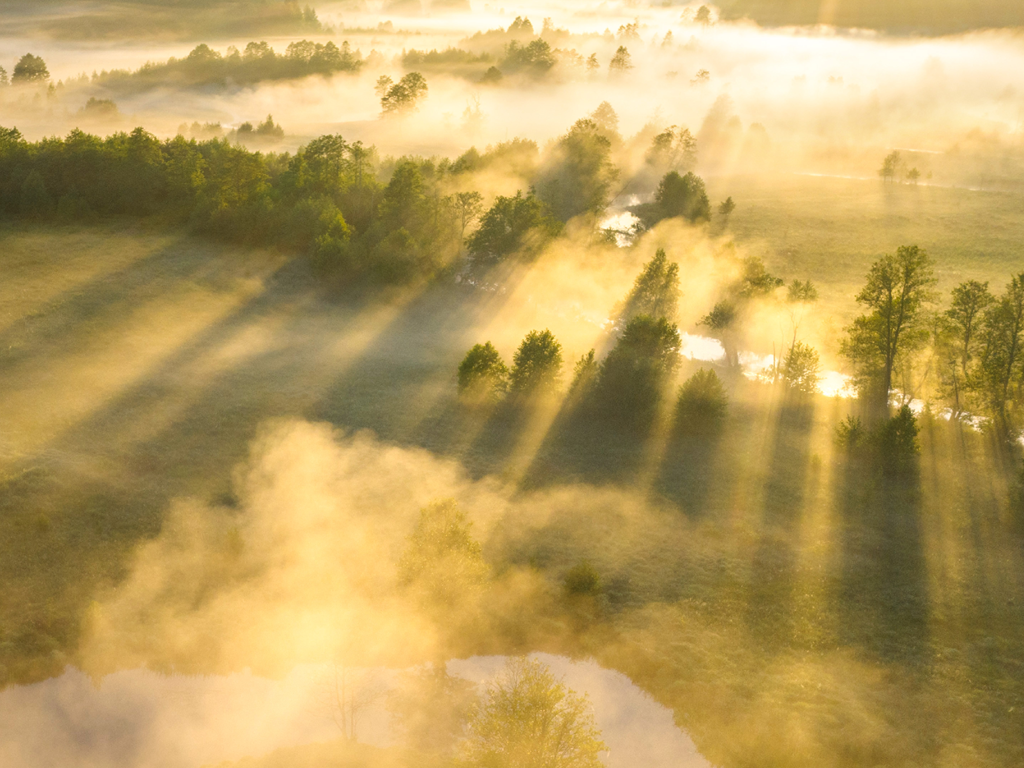 Nature-smart mining: Opportunities to reduce the nature impact of ...