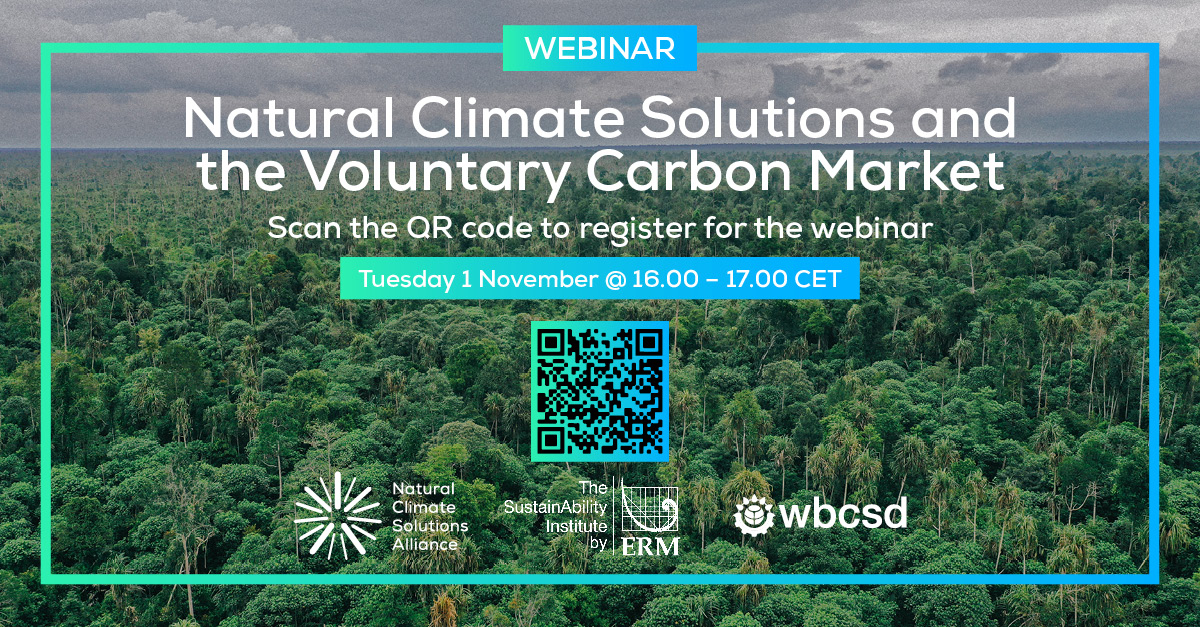 Natural Climate Solutions And The Voluntary Carbon Market