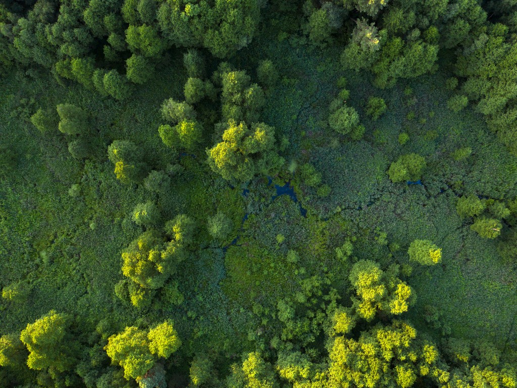 ERM, Salesforce, NatureMetrics and Planet launch NatureTech Alliance to address biodiversity loss