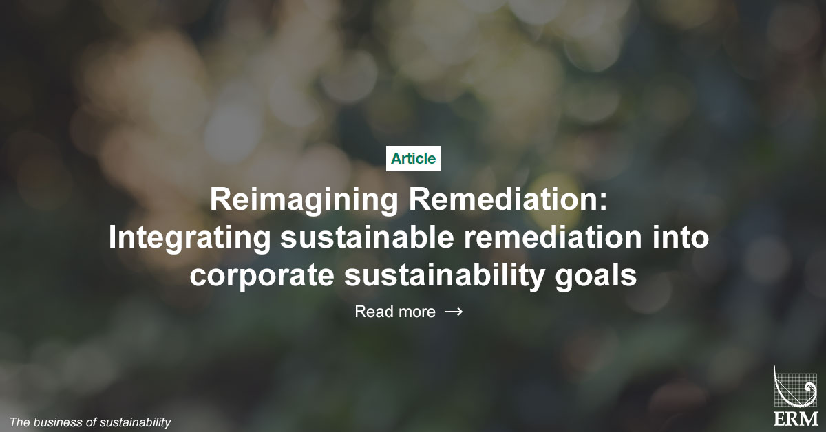 Reimagining Remediation: Integrating sustainable remediation into ...