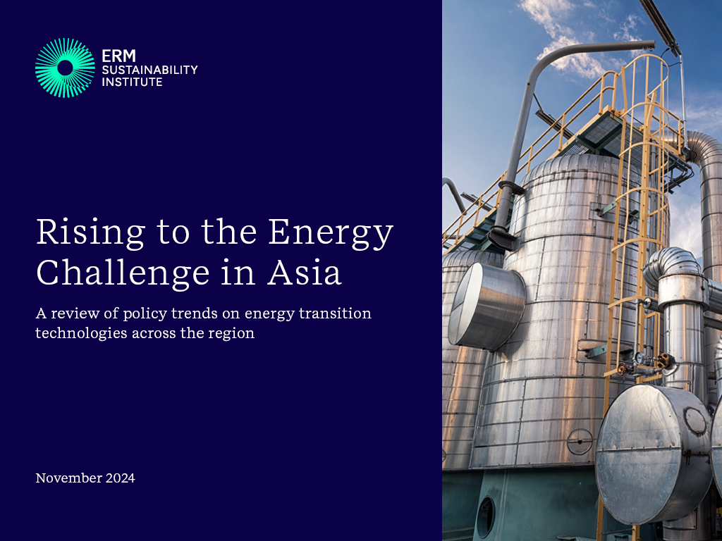 Rising to the Energy Challenge in Asia