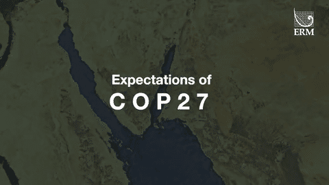 Expert Takes: Expectations of COP27