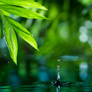 ERM at AWS Global Water Stewardship Forum 2025